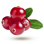 Accueil - fraicheurquebec.com